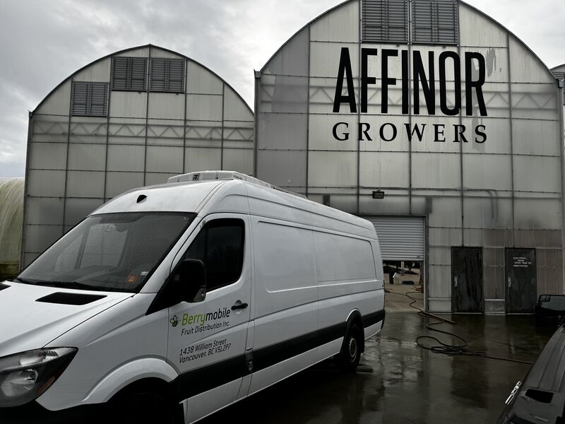 Affinor Growers - Affinor Growers Signs Strawberry Wholesale ...